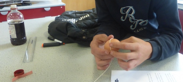 Tuition Medical Behaviour Support Service - An ‘eggcellent’ Science Lesson!