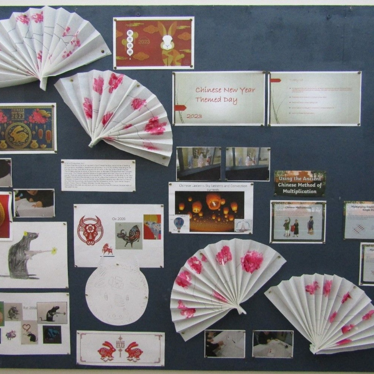 Tuition Medical Behaviour Support Service - Chinese New Year themed day
