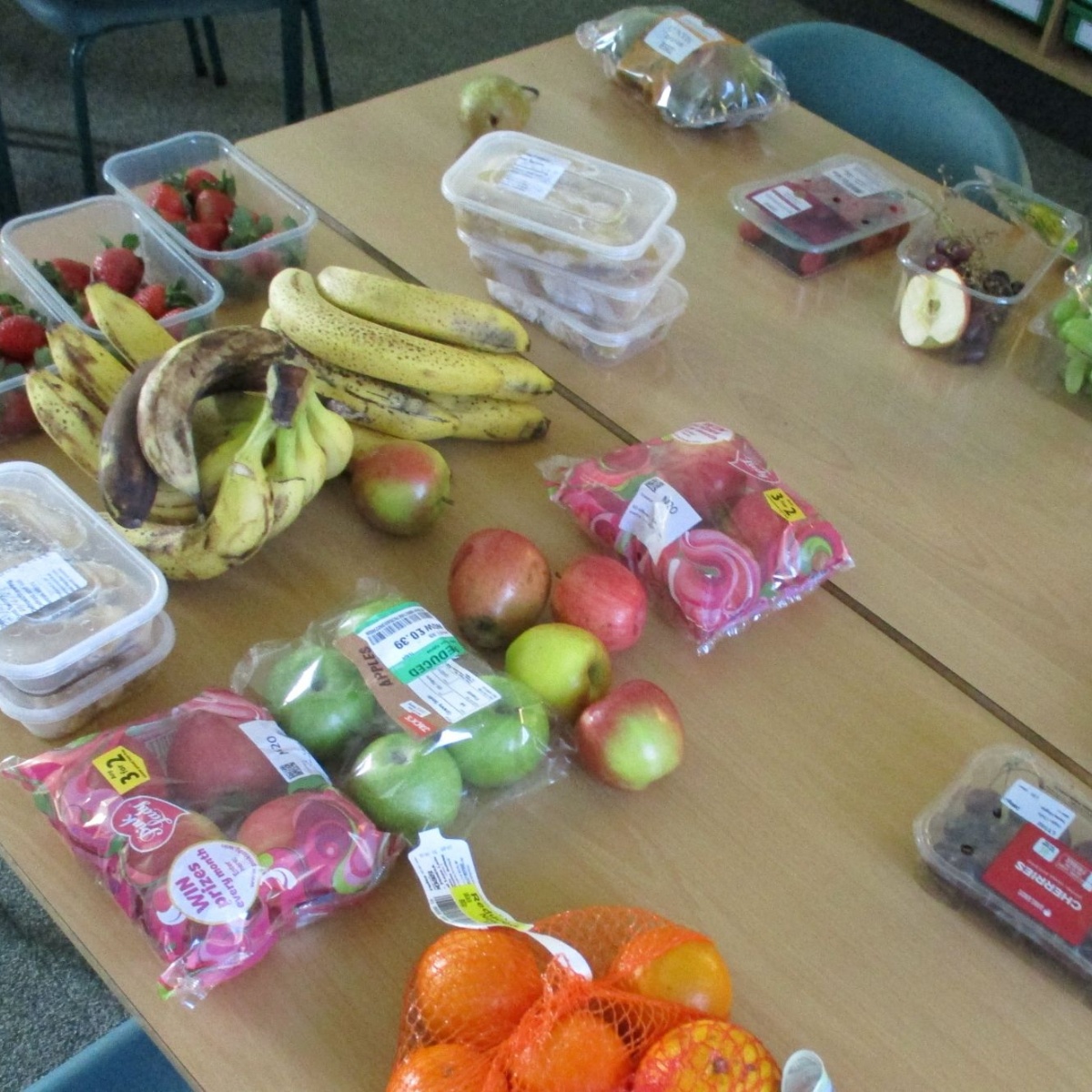 Tuition Medical Behaviour Support Service - Smoothie time