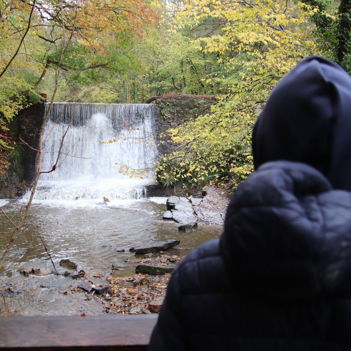 Tuition Medical Behaviour Support Service - Wepre Country Park and ...