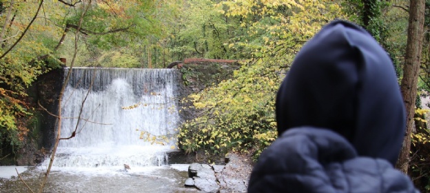 Tuition Medical Behaviour Support Service - Wepre Country Park and ...