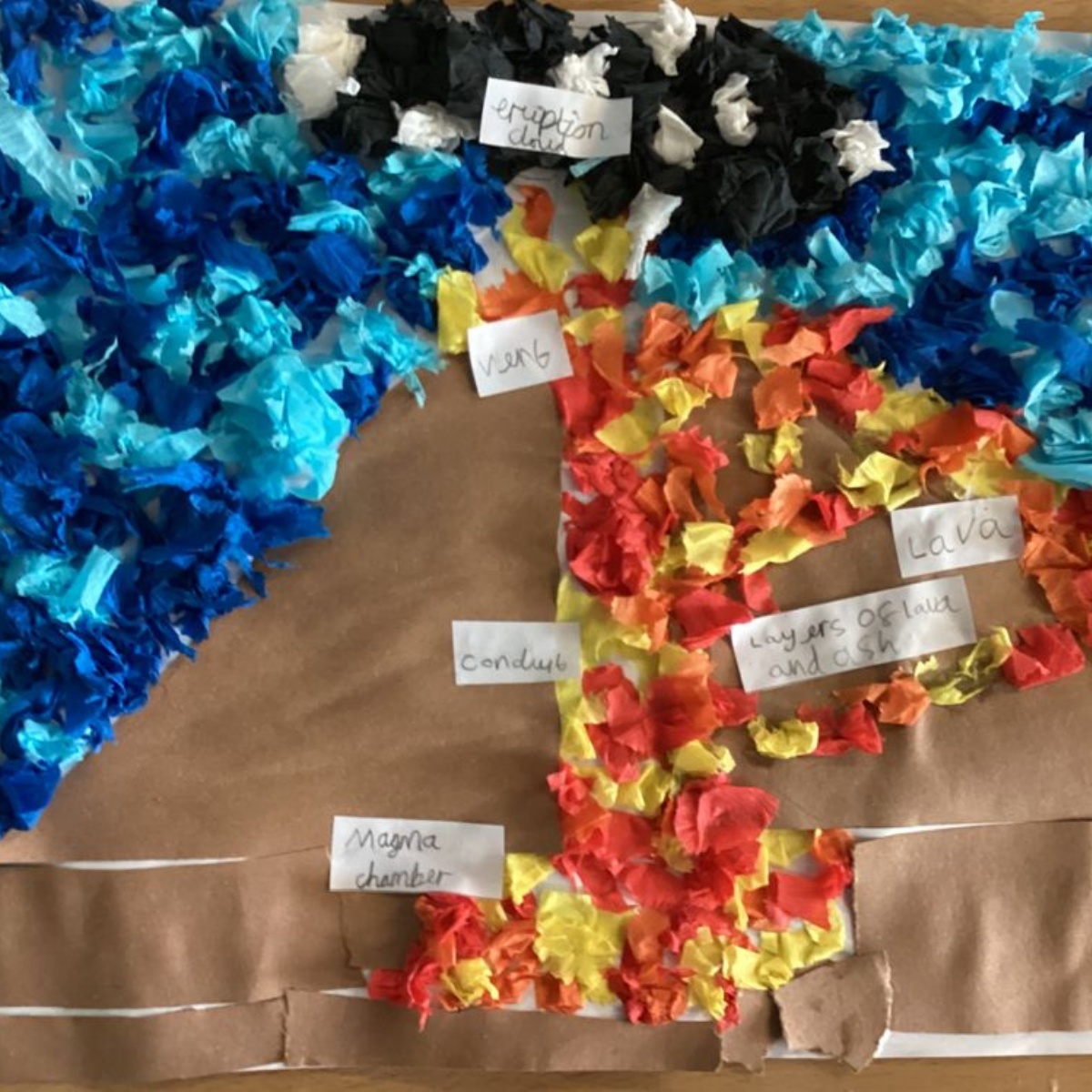 Tuition Medical Behaviour Support Service - Volcano collage